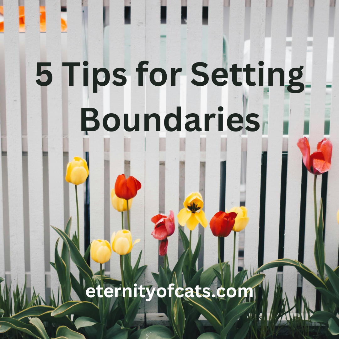 First Things: 5 Tips for Setting Boundaries – Eternity of Cats